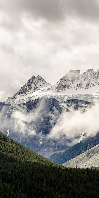 Material Dashboard Angular By Creative Tim