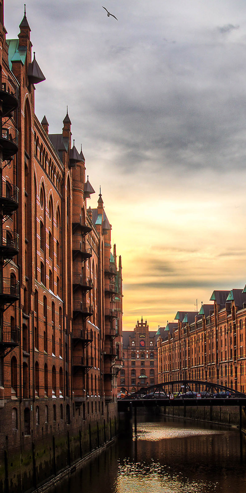 Material Dashboard PRO Angular by Creative Tim | Premium Bootstrap ...