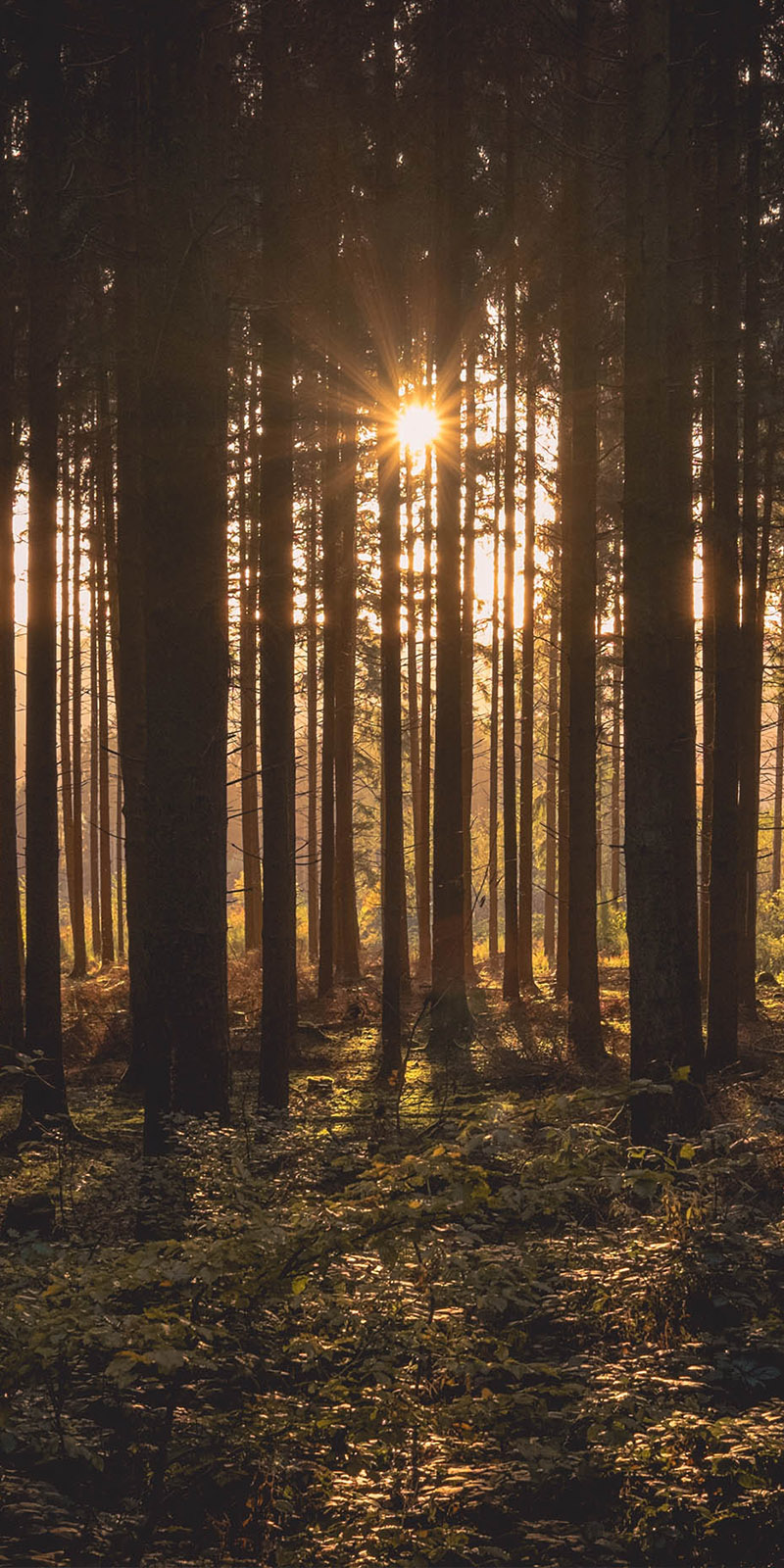 Material Dashboard PRO Angular by Creative Tim | Premium Bootstrap ...