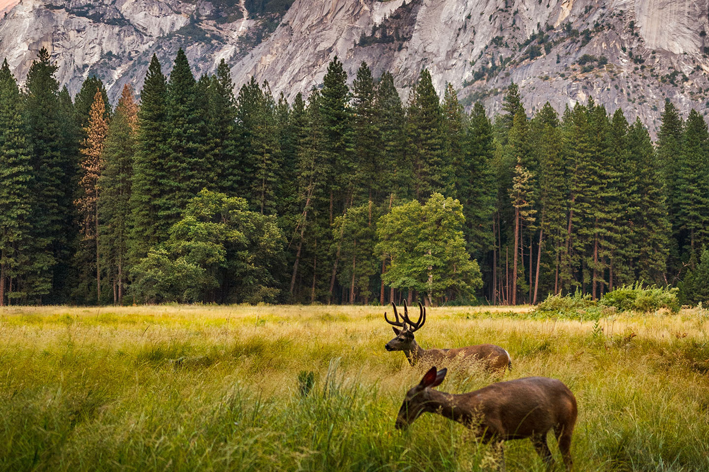 Now UI Kit Angular by Creative Tim